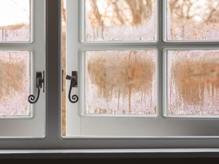 A Homeowner’s Guide to Window Condensation | Next Door and Window