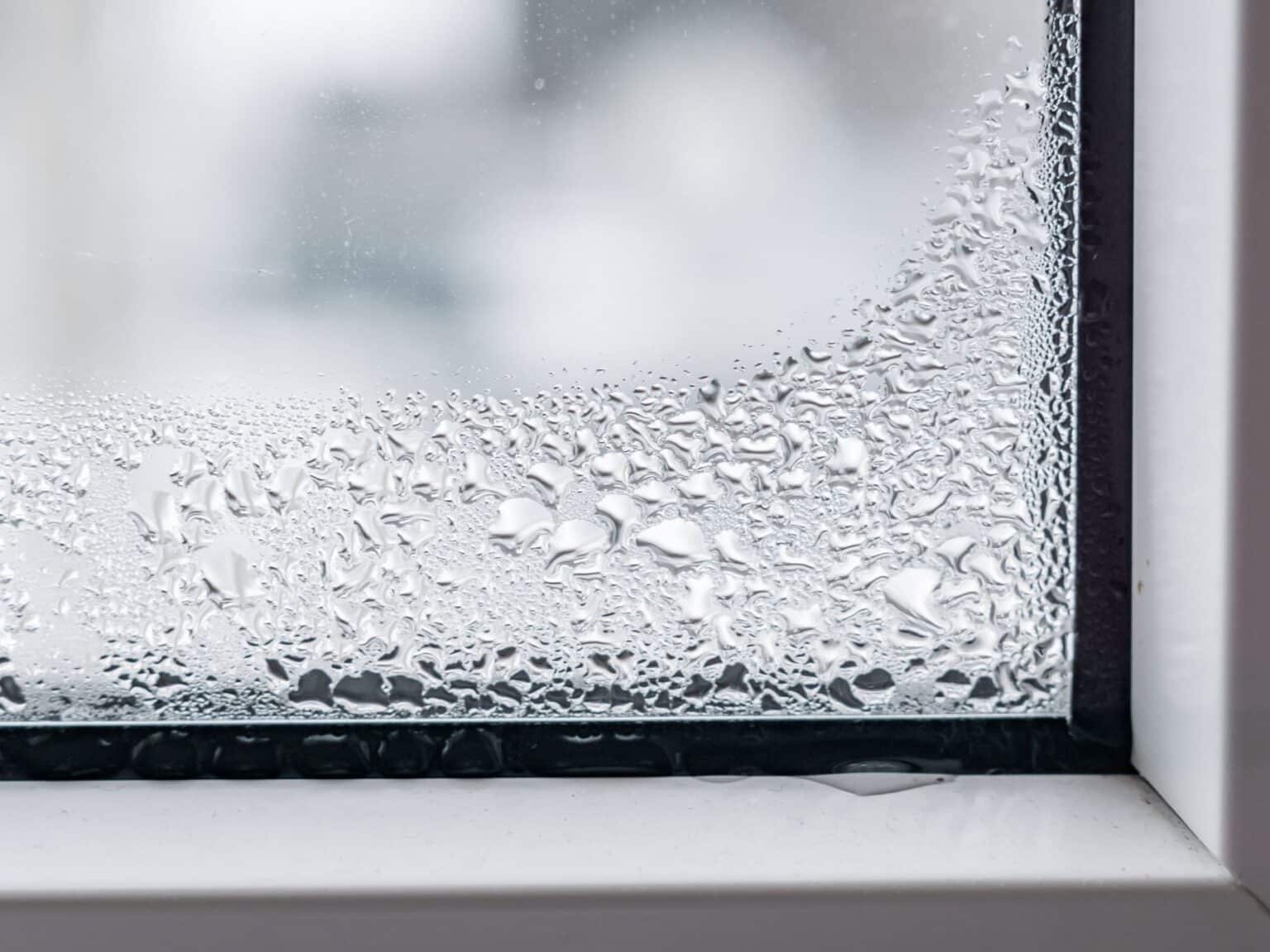 Is Your Window Condensation Normal or Not? | Next Door & Window